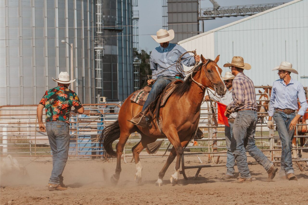 Silver Trails Stables